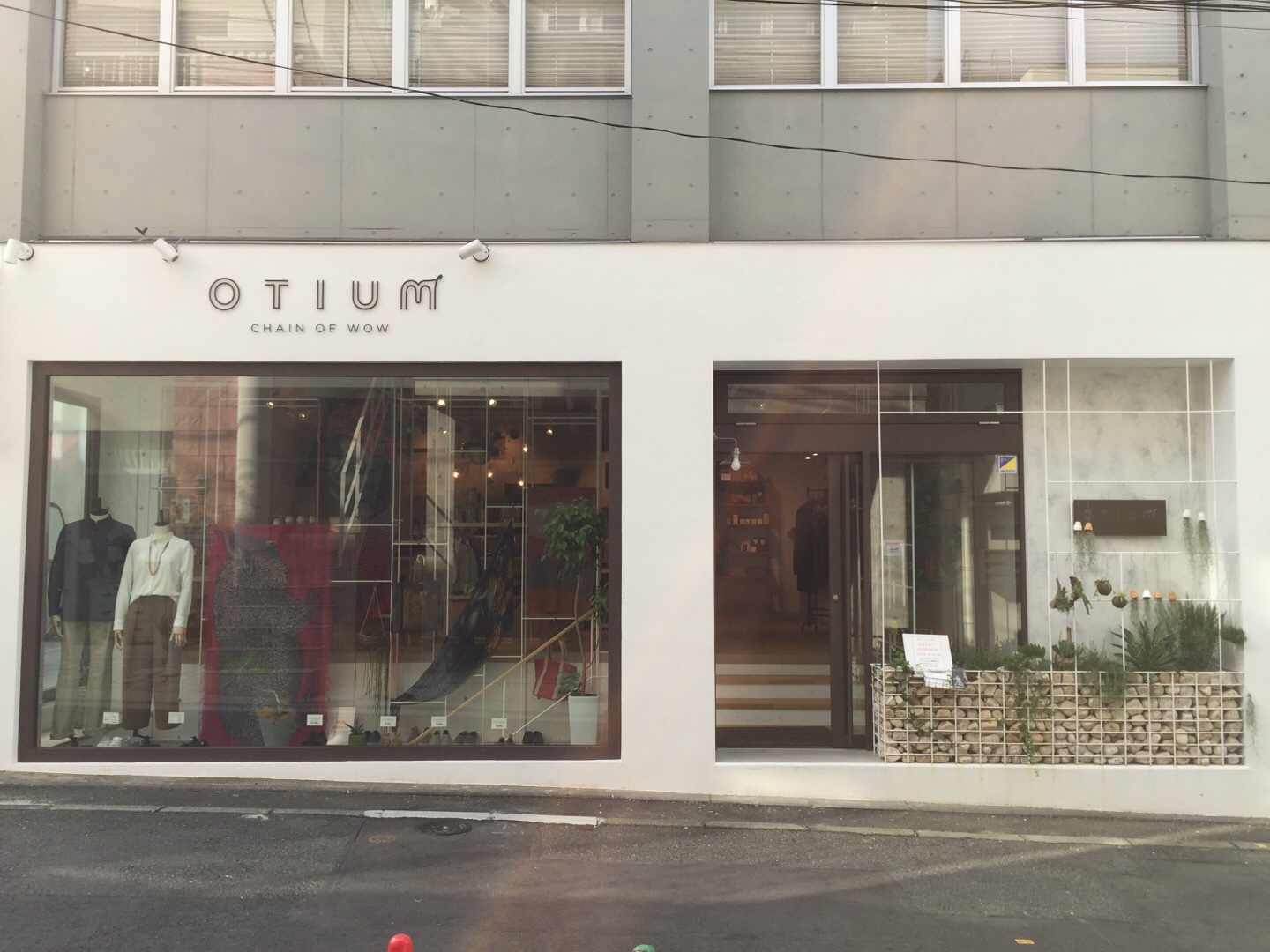 IMG_3530 | コラム